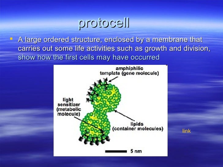 B31 ppt the history of life ch 14
