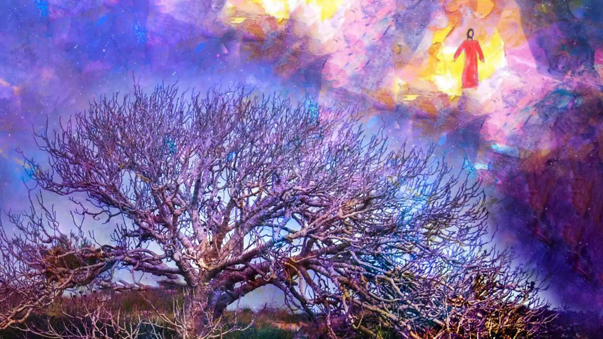 De les van de vijgenboom (B33 2018) | PPTX