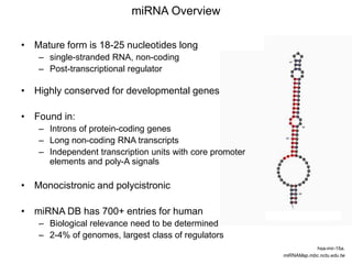 paper review of "modulation of microRNA processing by p53" | PPTX
