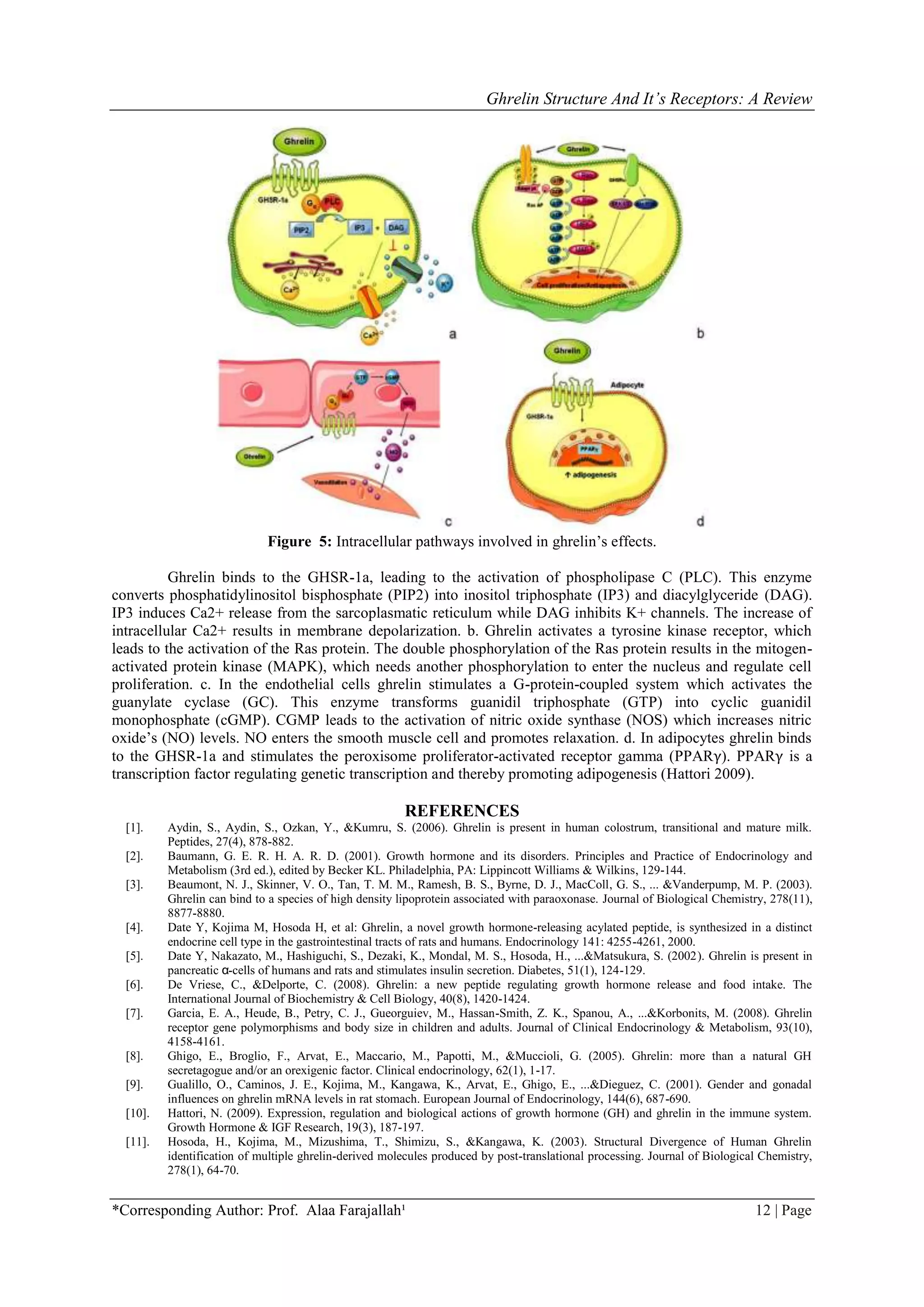 Ghrelin Structure and It’s Receptors: A Review | PDF