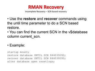 B35 all you wanna know about rman by francisco alvarez | PDF