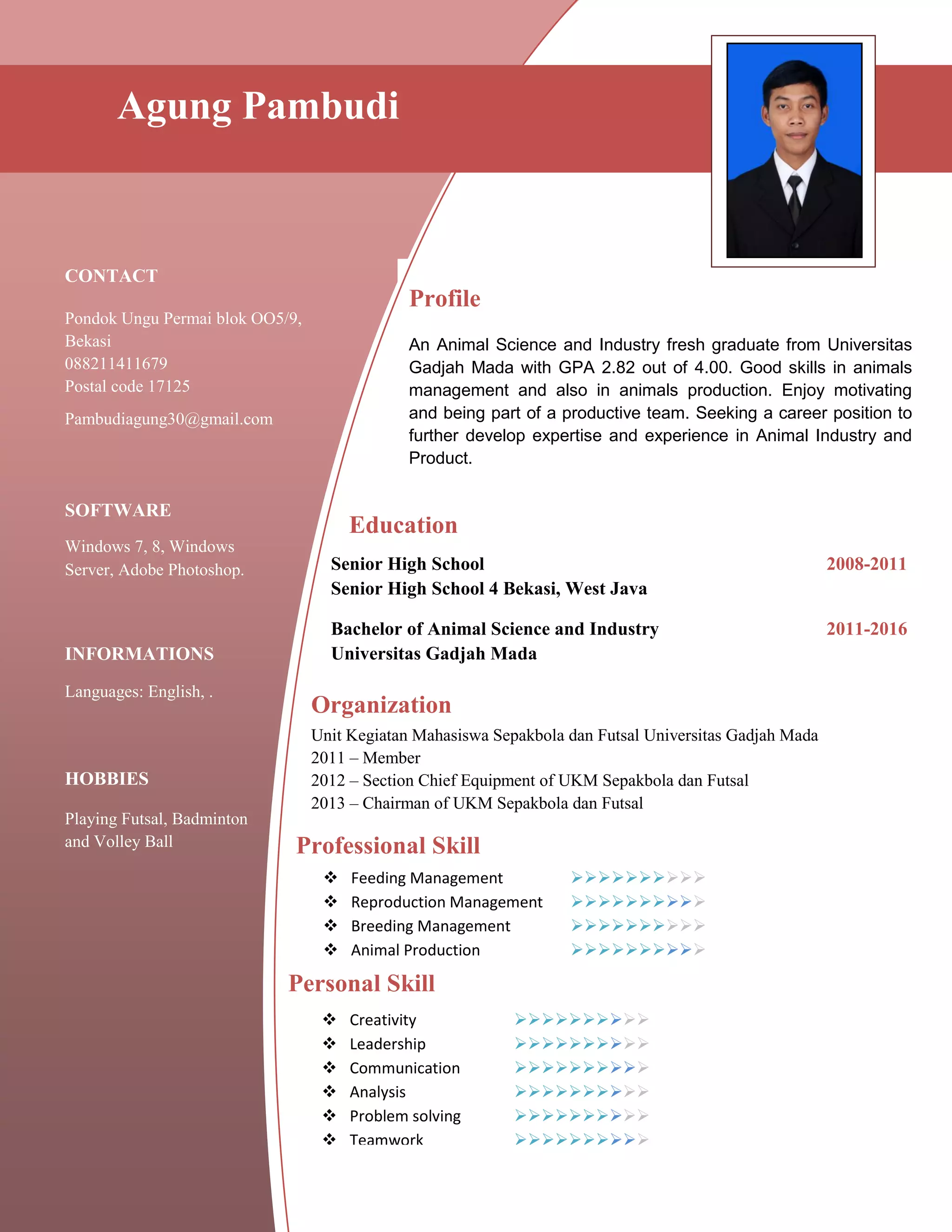 Cv Agung Pambudi | PDF