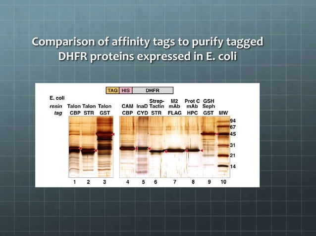 Affinity tags | PPTX | Chemistry | Science