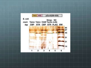Affinity tags | PPTX