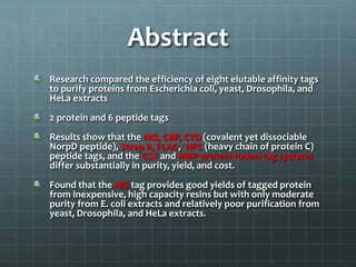 Affinity tags | PPTX