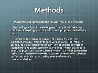 Affinity tags | PPTX