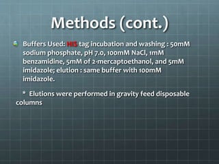 Affinity tags | PPTX