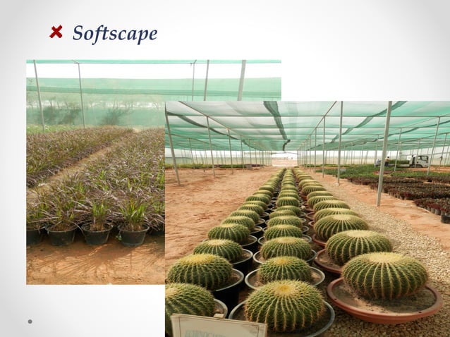 SALCO Presentation (KAPSARC) | PDF