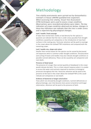 Cellweb TRP - Tree Vitality Observations