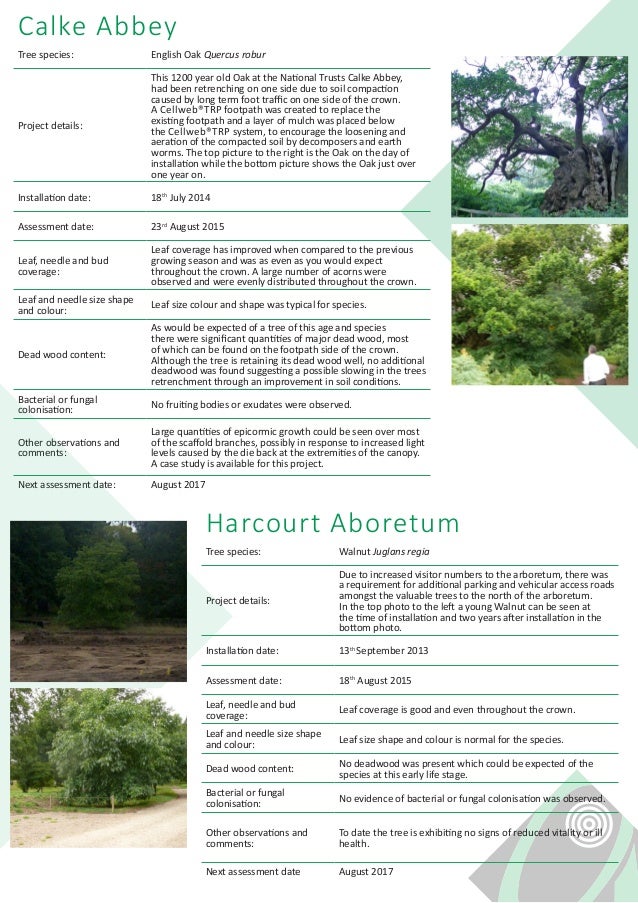 Cellweb TRP - Tree Vitality Observations