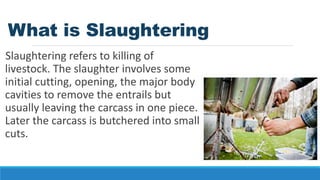 Broiler Processing - Slaughtering - Packaging | PPT