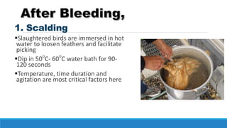 Broiler Processing - Slaughtering - Packaging | PPTX