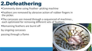 Broiler Processing - Slaughtering - Packaging | PPTX
