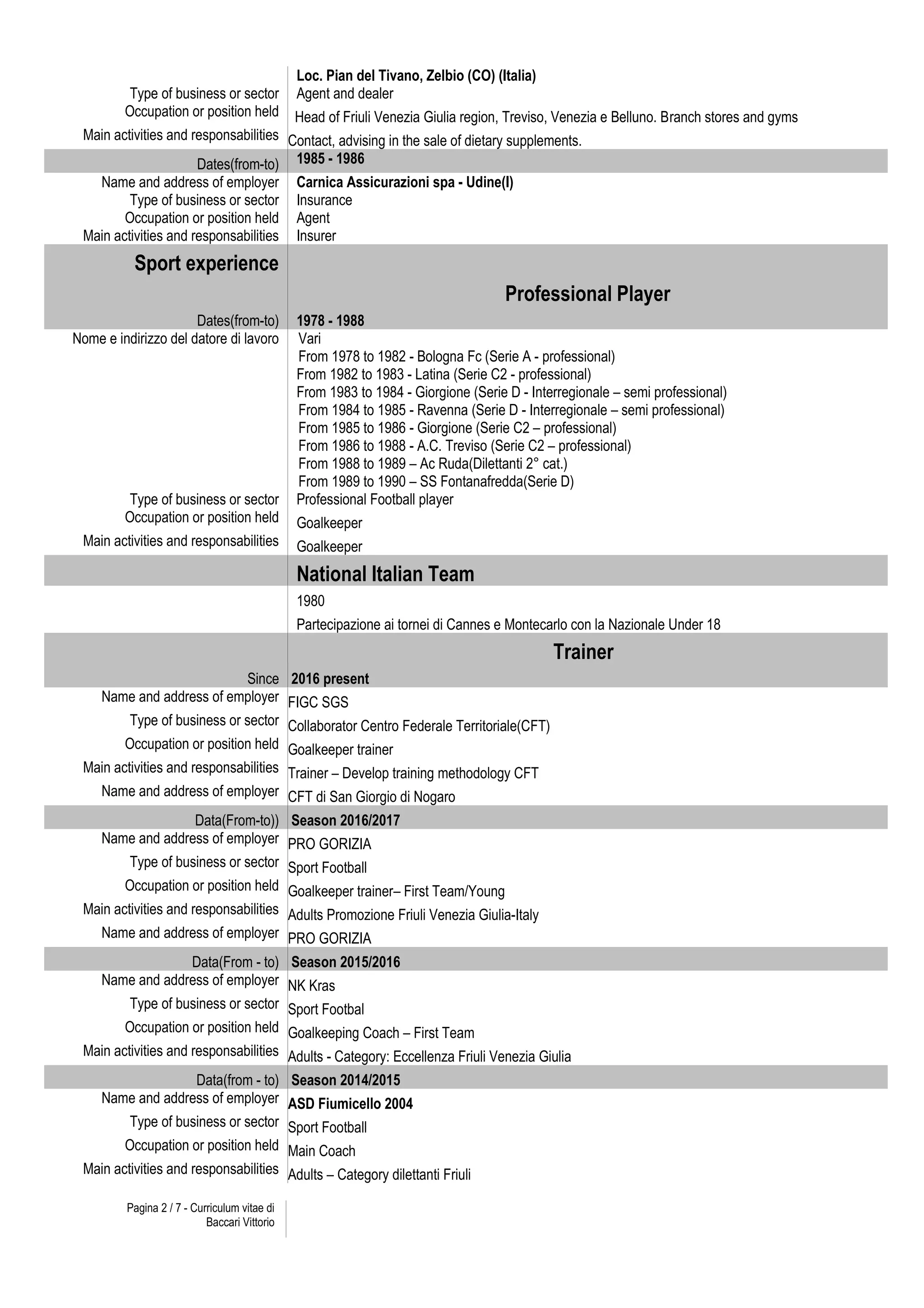 Europass-CV-Vitt-ING_DIC 2016 | PDF | Resume Writing and Advice | Job Search