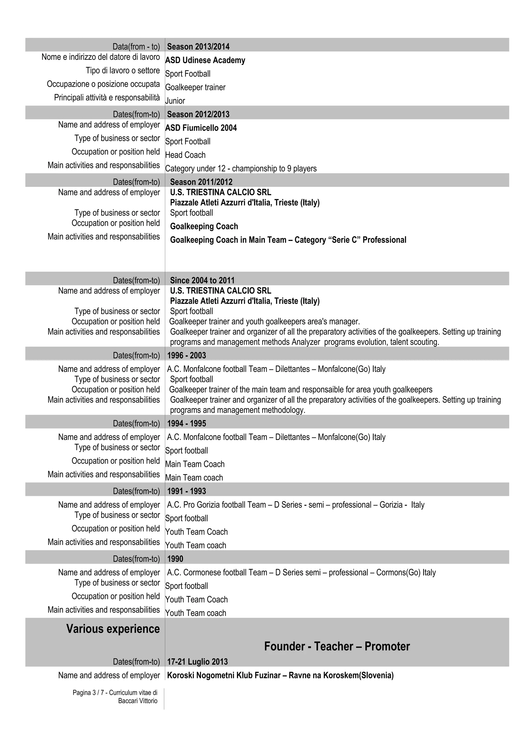 Europass-CV-Vitt-ING_DIC 2016 | PDF