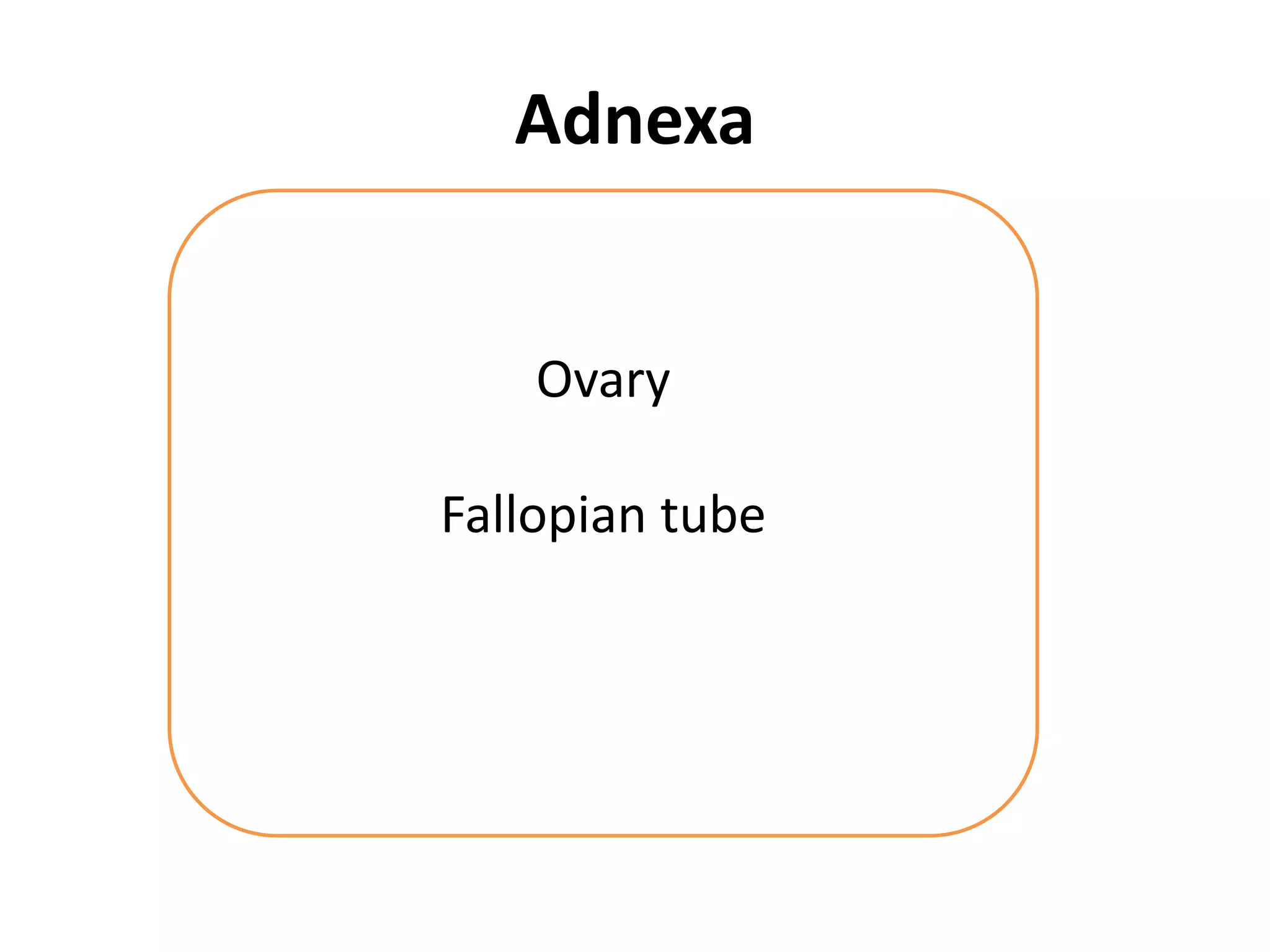 Applied anatomy 2 | PPTX
