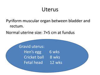 Applied anatomy 2 | PPTX