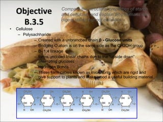 B3 carbohydrates | PPT