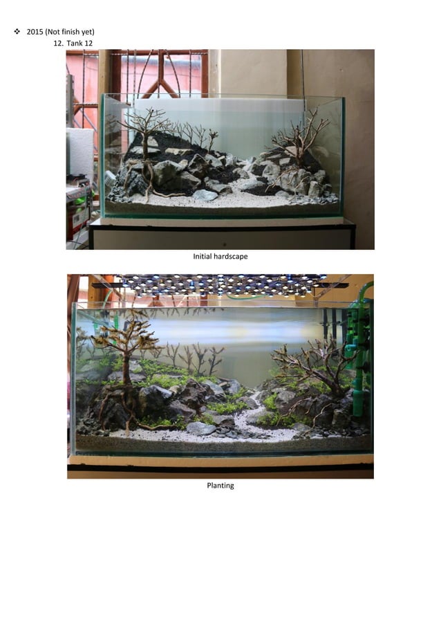My Aquascape Portofolio | PDF