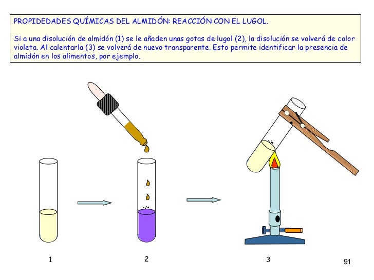B3 glucidos pdf1