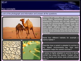 B3 lesson part one | PPT