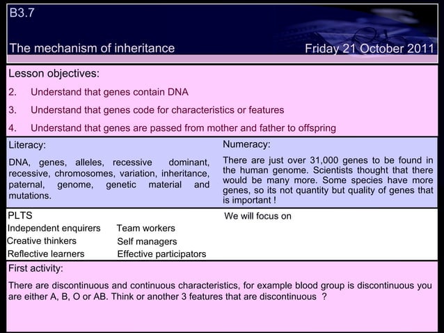 B3 lesson part two | PPT