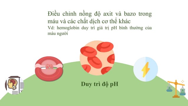 B3 RỐI LOẠN CHUYỂN HÓA PROTID.pptx