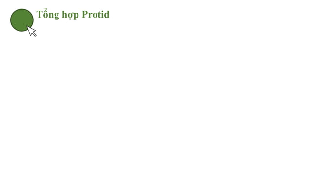 B3 RỐI LOẠN CHUYỂN HÓA PROTID.pptx