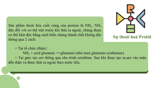 B3 RỐI LOẠN CHUYỂN HÓA PROTID.pptx