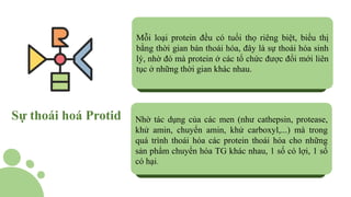 B3 RỐI LOẠN CHUYỂN HÓA PROTID.pptx