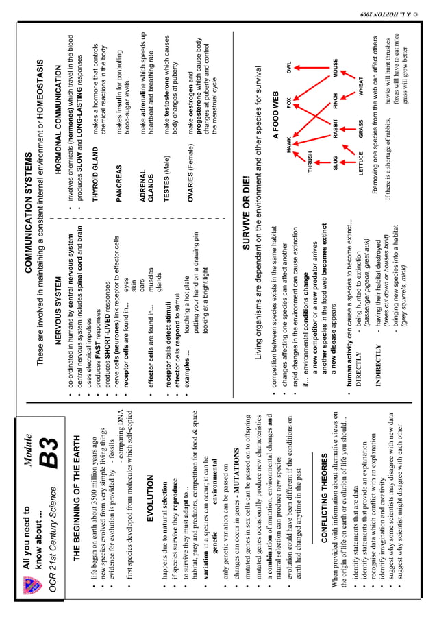 B3 summary sheet | PDF