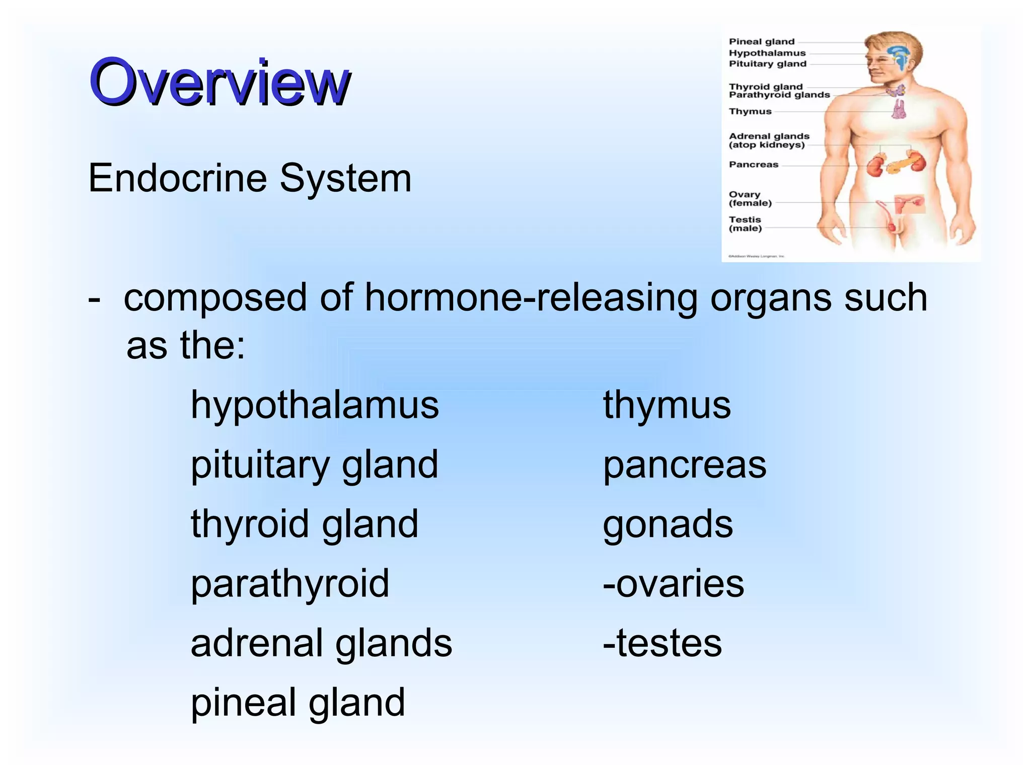 Endocrine drugs | PPT