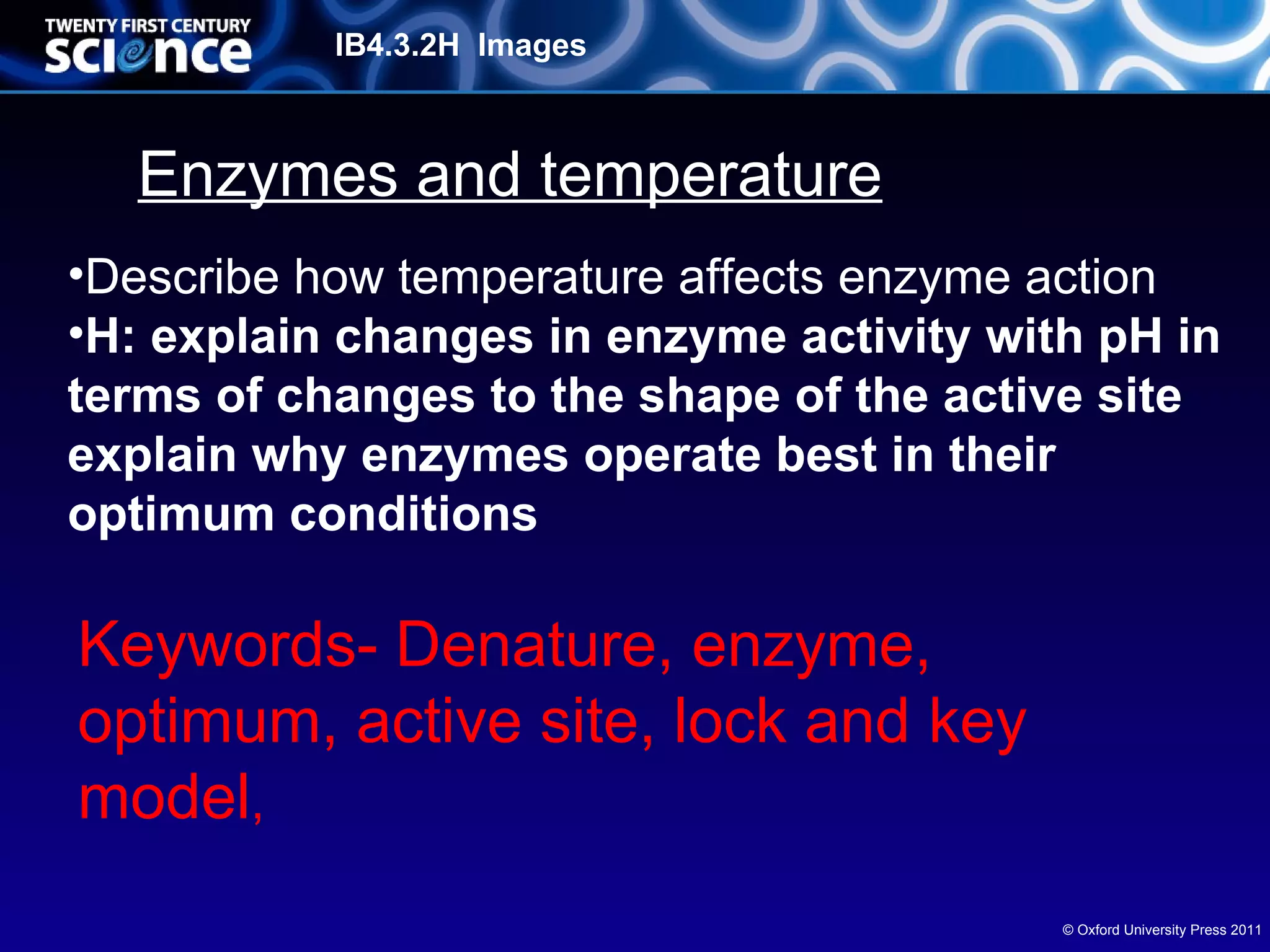 B4 03 enzymes and temperature | PPT
