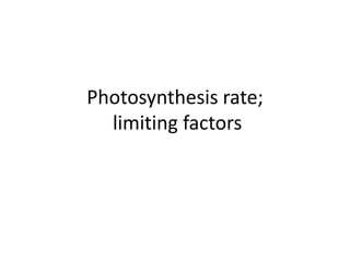 B4 08 photosynthesis- rate-limiting factors | PPT