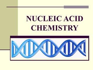 B4.CHEMISTRY BIOCHEMISTRY NUCLEIC ACID.ppt