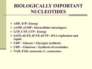 B4.CHEMISTRY BIOCHEMISTRY NUCLEIC ACID.ppt
