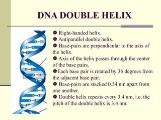 B4.CHEMISTRY BIOCHEMISTRY NUCLEIC ACID.ppt