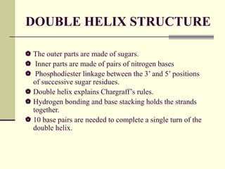 B4.CHEMISTRY BIOCHEMISTRY NUCLEIC ACID.ppt