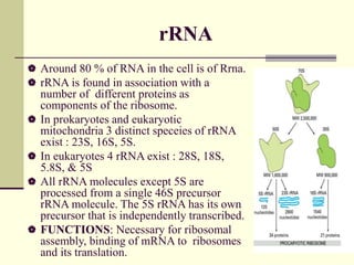 B4.CHEMISTRY BIOCHEMISTRY NUCLEIC ACID.ppt