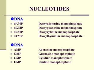 B4.CHEMISTRY BIOCHEMISTRY NUCLEIC ACID.ppt