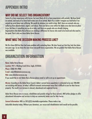 horse appendix the real one | PDF