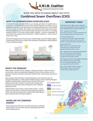 CSO_Fact Sheet | PDF