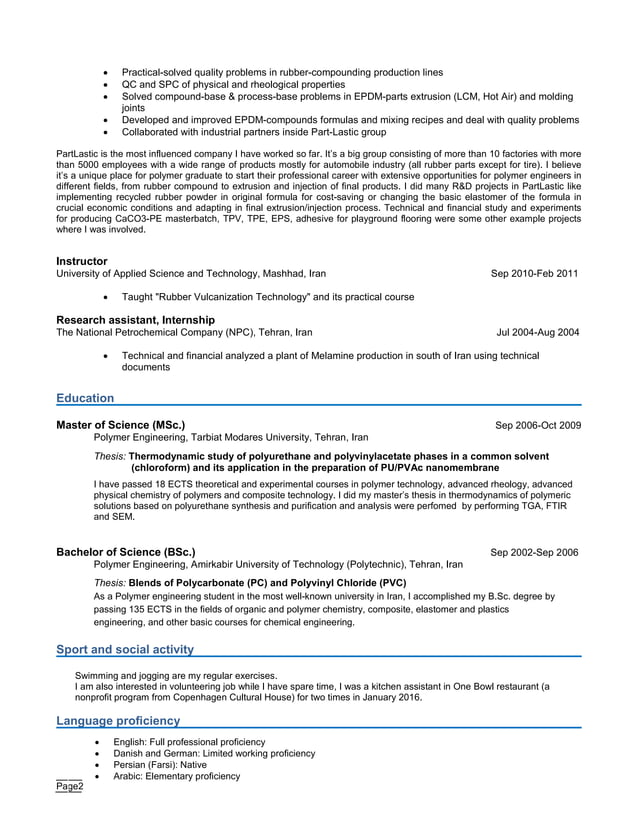 Curriculum Vitae DK | PDF