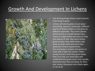 lichen biology | PPTX