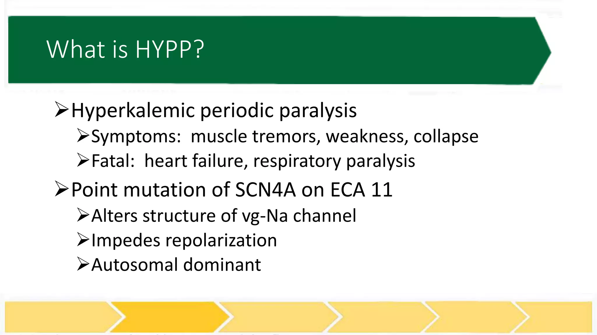Hyperkalemic Periodic Paralysis (HYPP) | PPTX