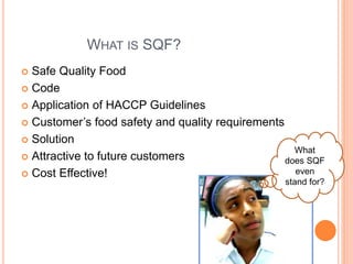 sqf_gap_analysis_presentation_revision | PPTX