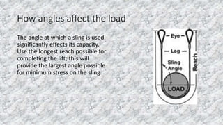Basic Rigging | PPTX