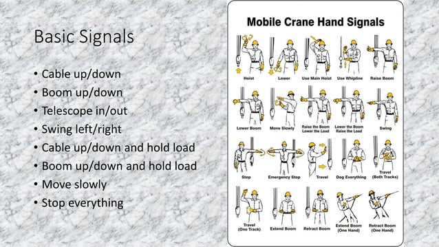 Basic Rigging | PPT