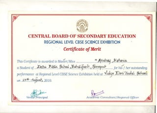 CBSE 2010 Merit | PDF