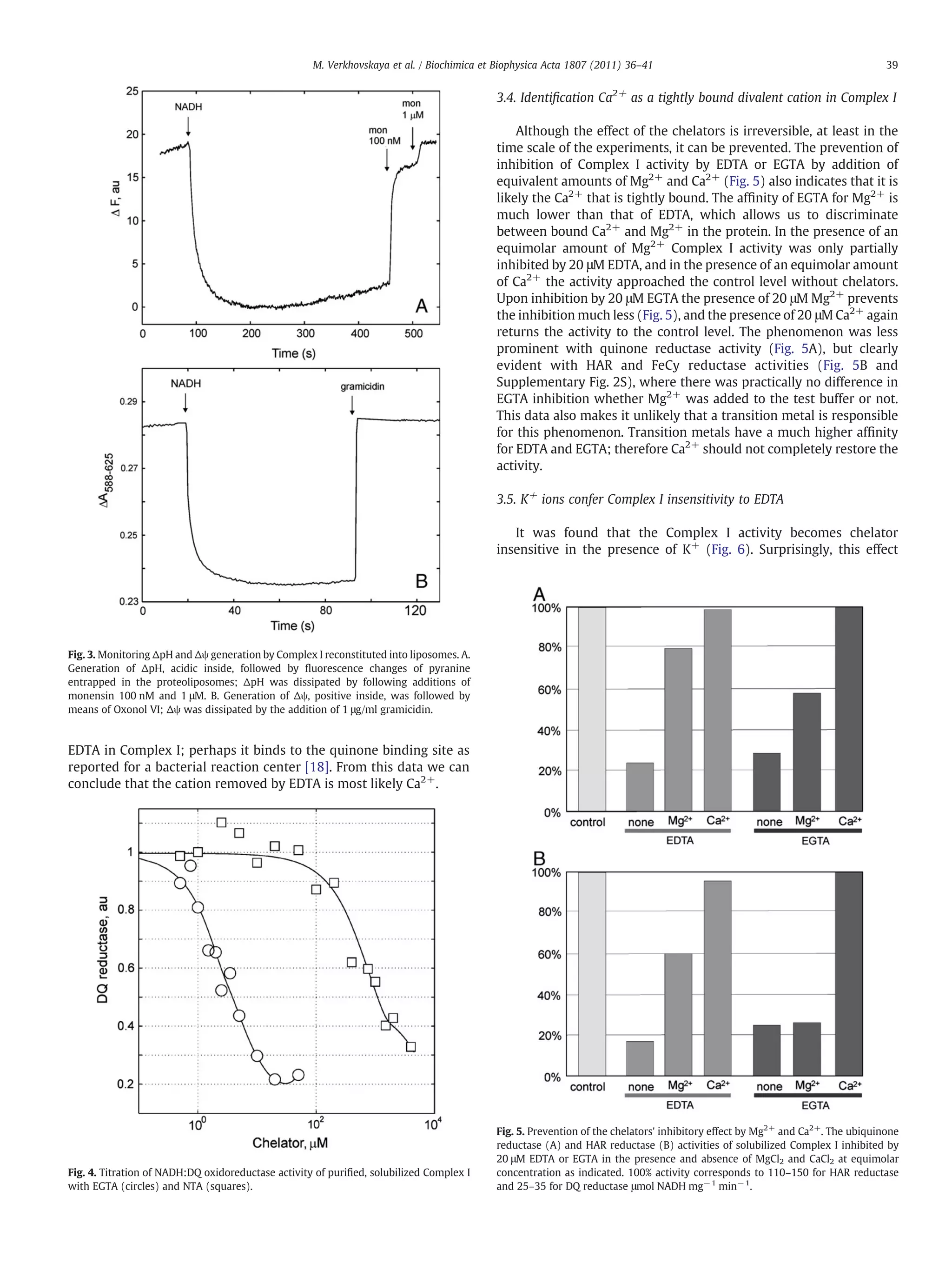 Ca2+_CI_2011 | PDF